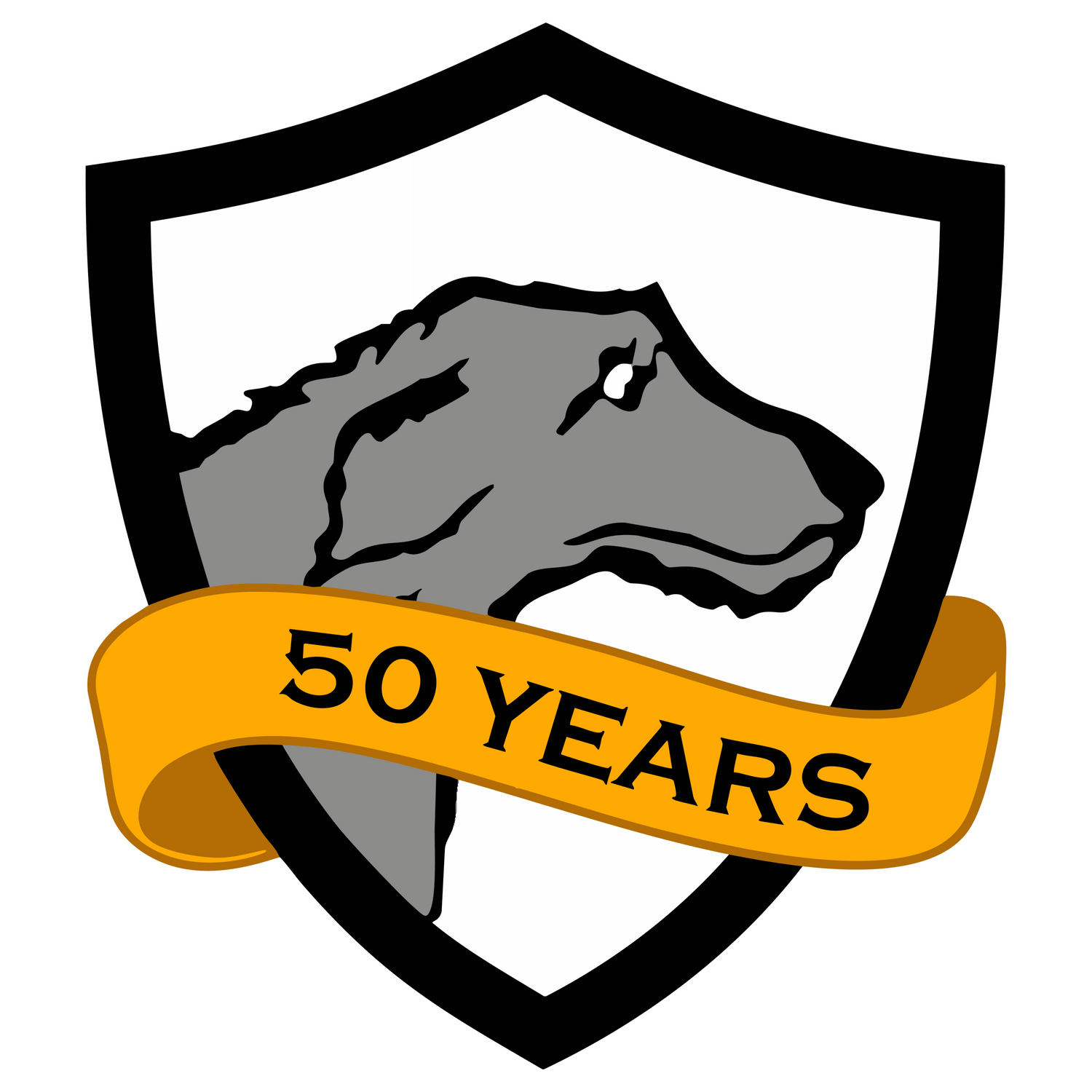 Cincinnati RFC – Our Org